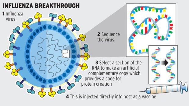 Shortcut to produce flu vaccine could block spread of epidemics