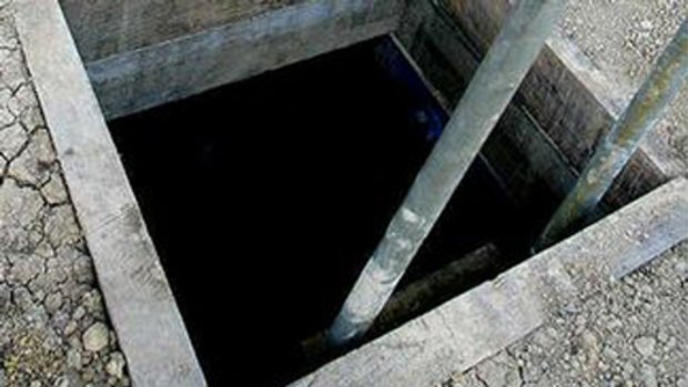 Drugs farm 'buried in Ipswich backyard'