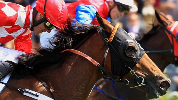 Diva stakes claim for late bid