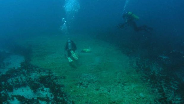 Minimal Barrier Reef regrowth at site of Shen Neng grounding
