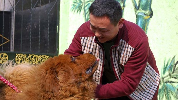 Big splash of cash for million-dollar dog