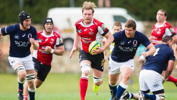 Canberra Vikings lock Tim Cree could face Wallabies man-mountain Will ...