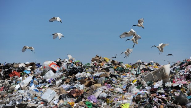 Rotting garbage being used to power Australian homes