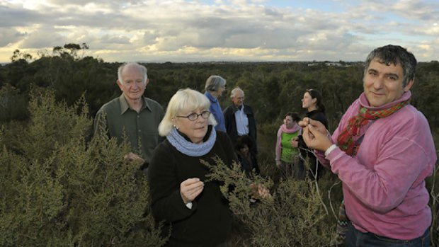 Bypass project may lead to bandicoots’ demise