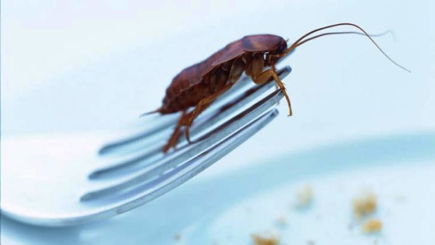 Cockroaches go on the menu, and in the medicine, in China