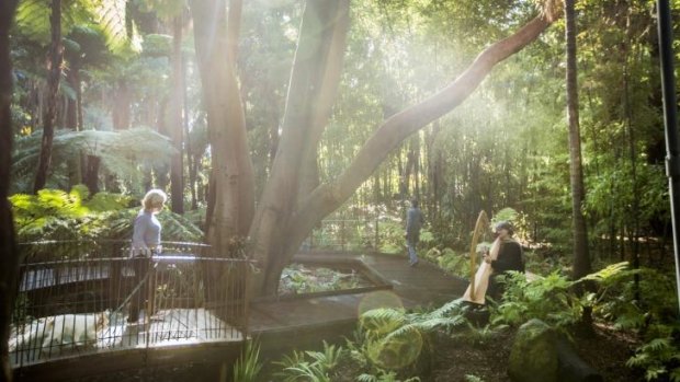 Reopened Fern Gully at the Botanic Gardens has 'plenty of garden drama'