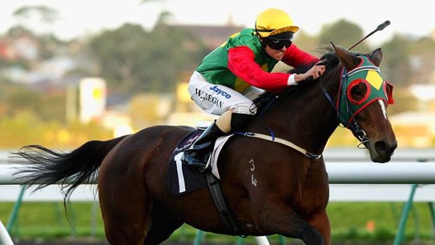 Dodson aims to swoop