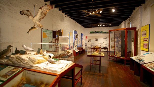 Seven things to do on Rotto in winter