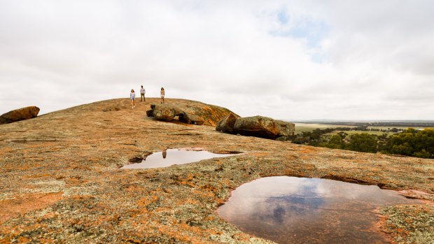 Minnipa, South Australia: Travel guide and things to do