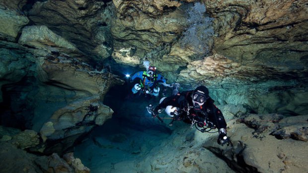 Dead Melbourne diver found by dive buddy