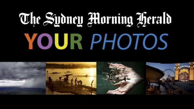 Your Photos - Election 2013