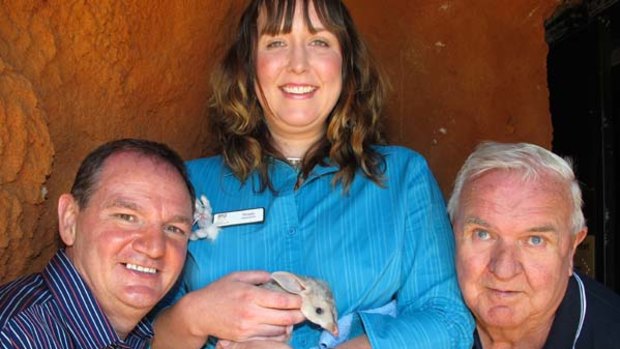 What's special about 'Oprah', the baby bilby? She's an Australian first ...