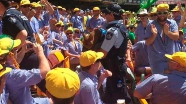 Animal cruelty charges dropped in Gabba pig smuggling case