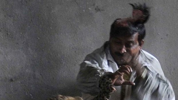 Panicked leopard goes on the attack after walking into house