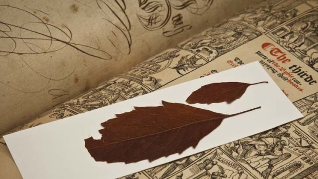Leafing through an old Bible to root out secrets of the past