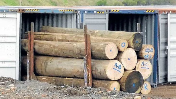 VicForests investigates timber claim