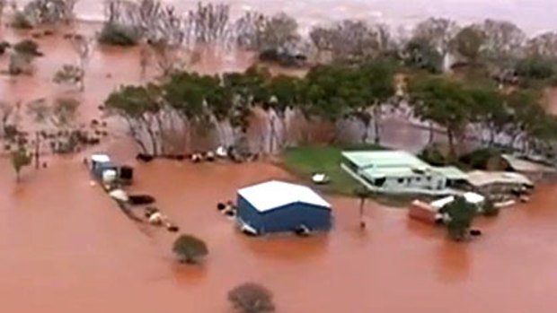 'We've lost everything': Carnarvon counts the cost of 50-year floods