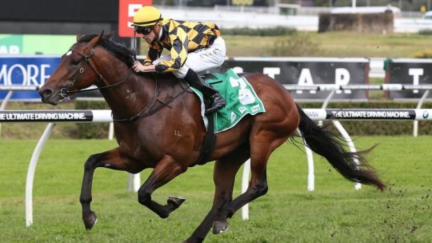 Trainer Paul Messara pours cold water on Spring Champion Stakes fancies