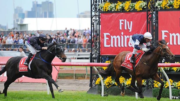 Gai joyful over Fiorente's form