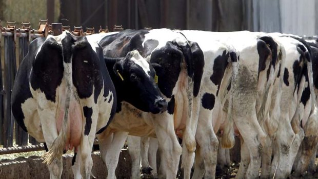 Offcuts can do a fat lot of good