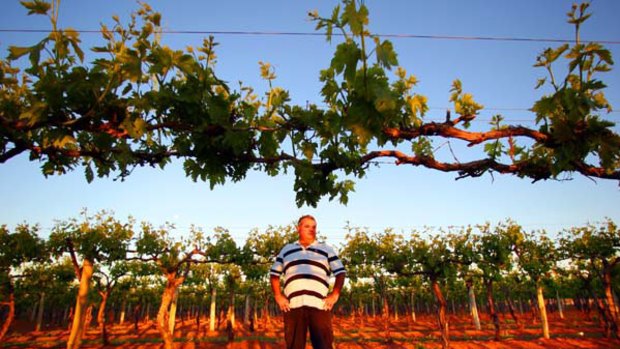 Grapes of froth as China lifts industry treading water