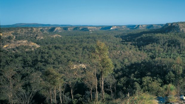 Theodore, Queensland: Travel guide and things to do