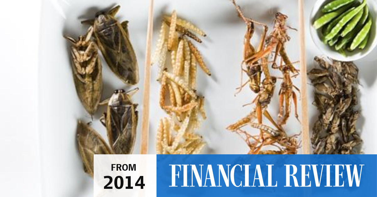 Eat insects, save the planet, forget the disgust