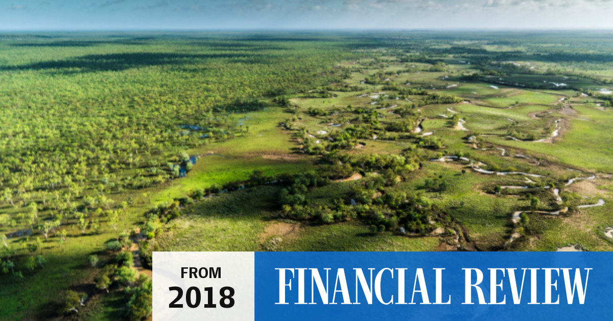 Thames Pastoral selling NT cattle stations Tanumbirini and Forrest Hill