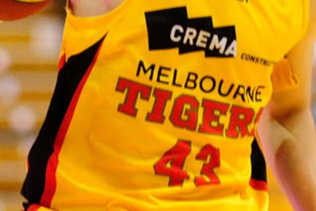 Melbourne Tigers move closer to NBL play-offs berth