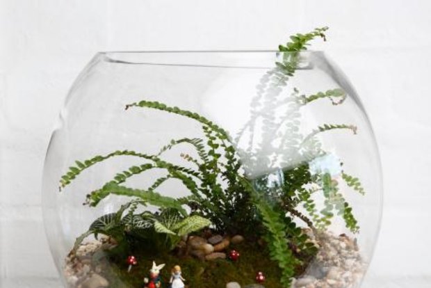 Meet the maker: Terrarium maker Rachael Harland