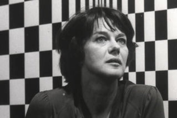 The life … and colours and shapes … of Riley