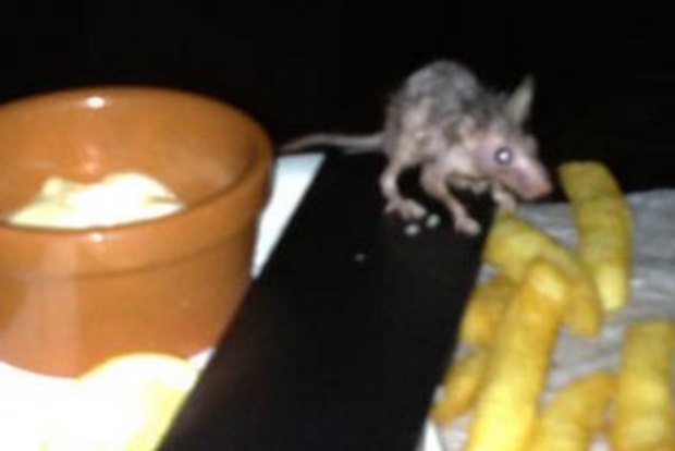 Moviegoers discover rat 'infestation' inside cinema