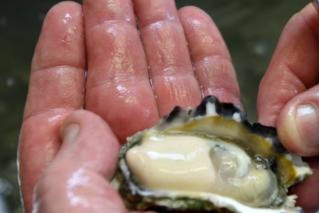 Crustaceans shellacked by climate change