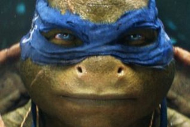 Michael Bay Ninja Turtles