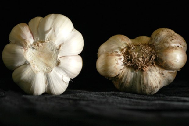 Garlic ingredient fights food poisoning