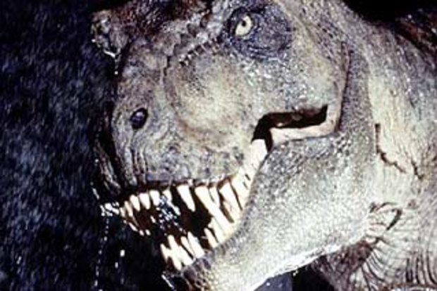 T-rex had most powerful bite: scientists