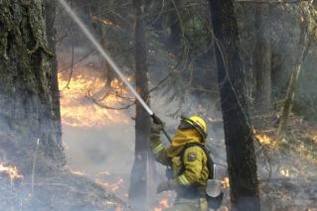 Suspect arrested on arson charge in massive Northern California fire