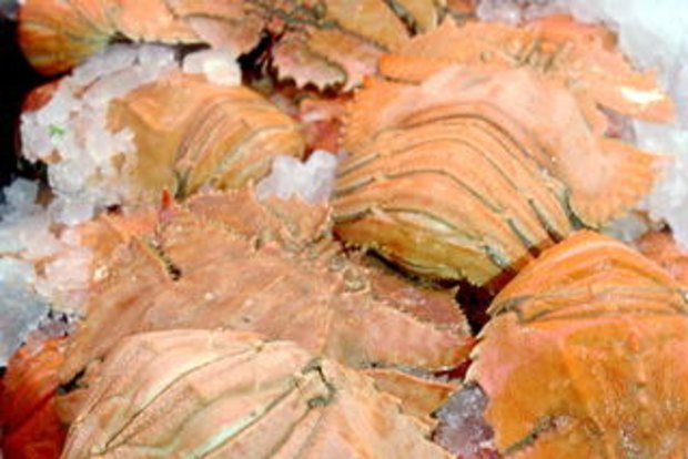 Five things to do with bug meat