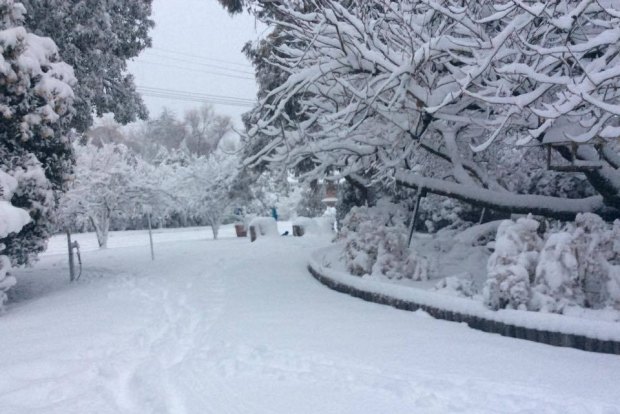 Queensland snow: Live coverage