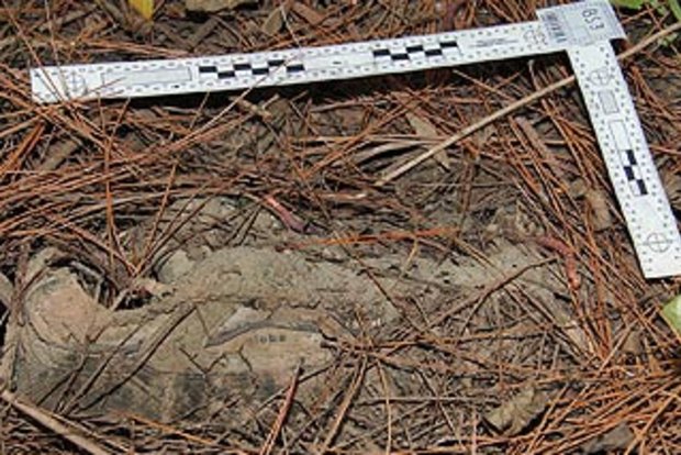 Daniel Morcombe murder trial: no bones found where alleged killer led ...