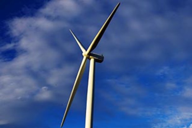 Collector Wind Farm project recommended to go ahead