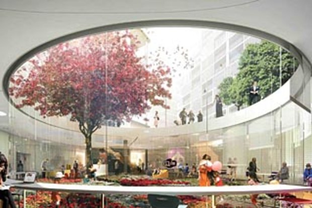 The story of the library with a garden