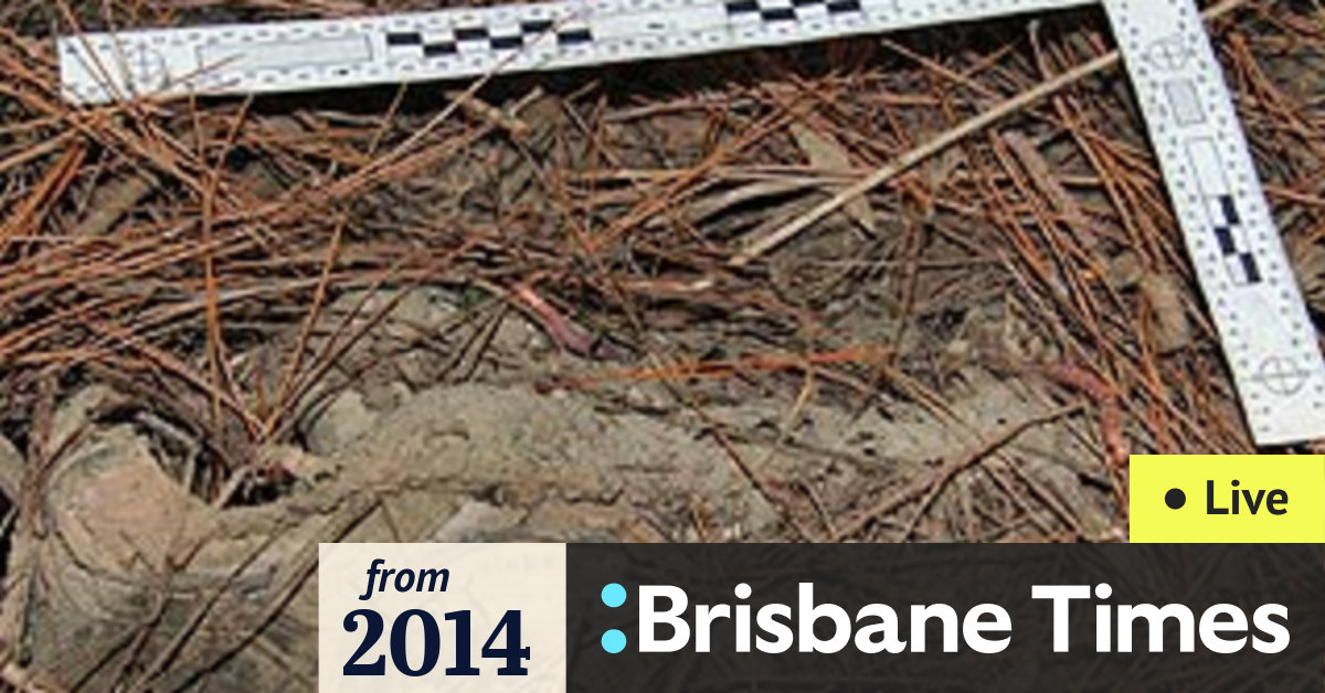 Daniel Morcombe murder trial: the exhibits