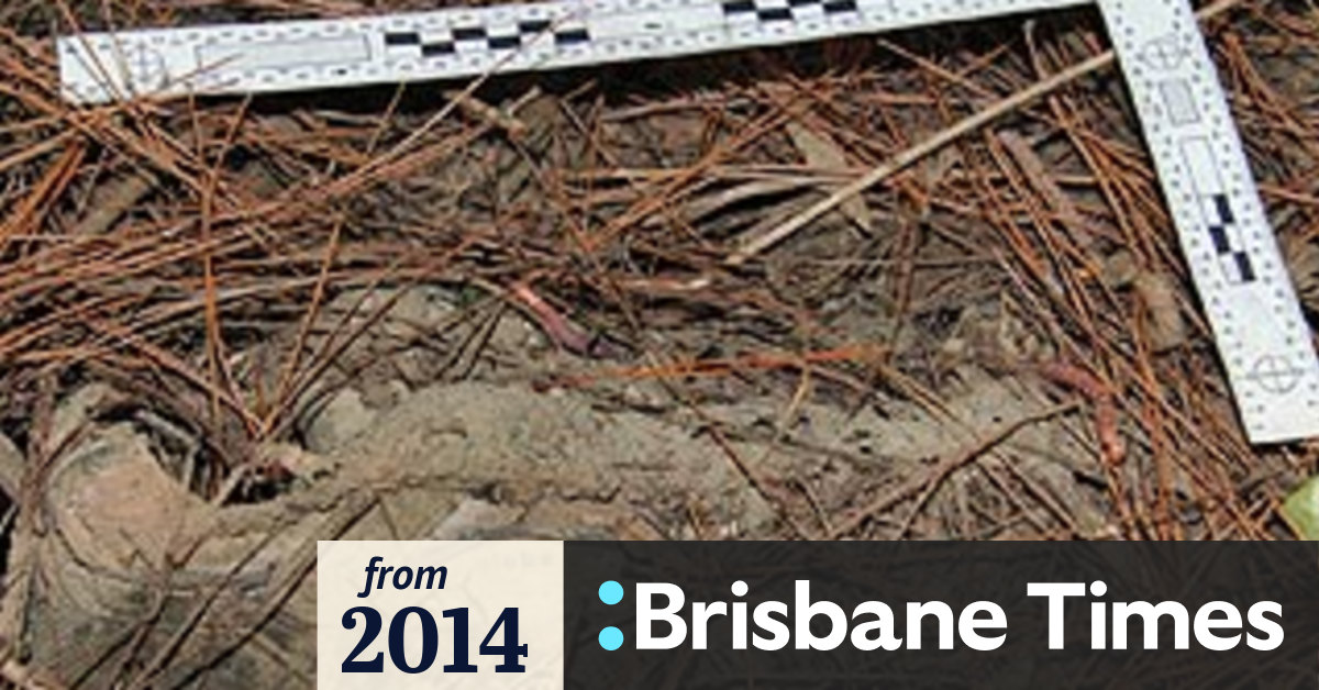 Daniel Morcombe murder trial: no bones found where alleged killer led ...