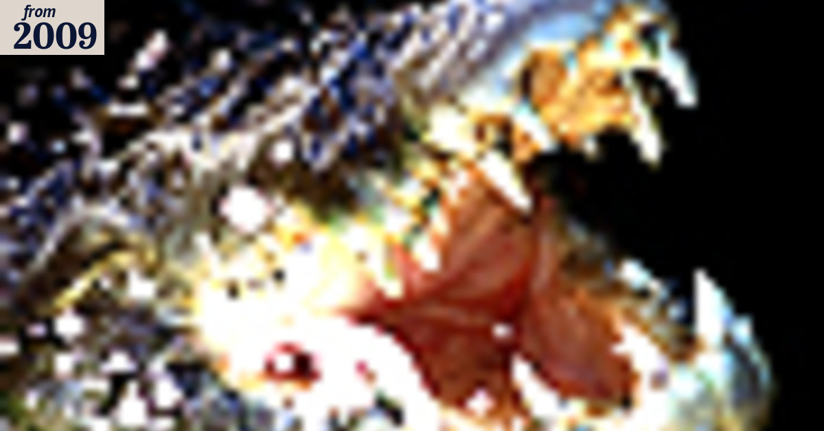 brett mann crocodile attack