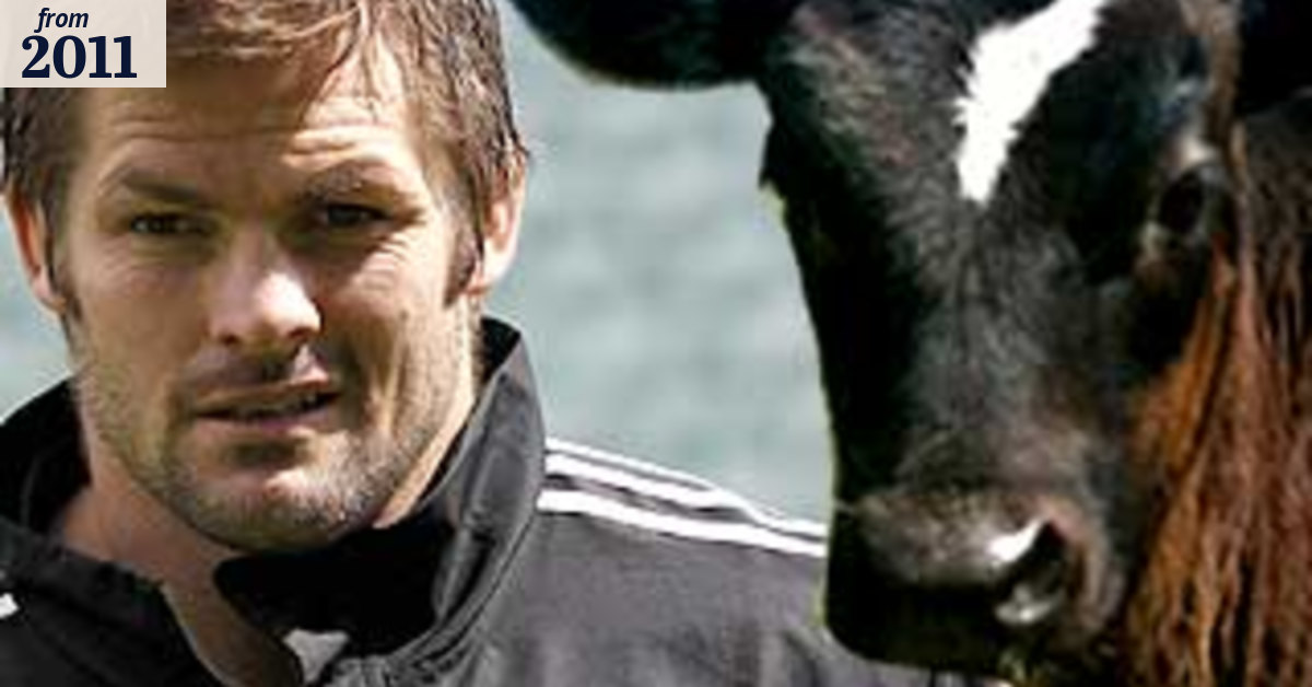 From McCow to McVeal: 'psychic' cow tips against All Blacks