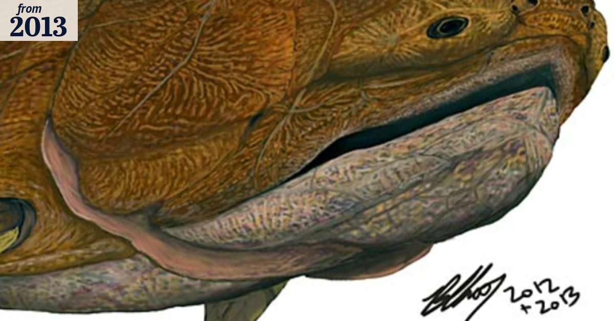 first jawed fish name