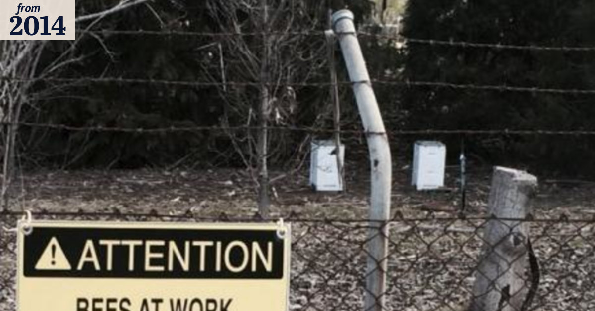 Tim the Yowie Man: Namadgi's natural wonders