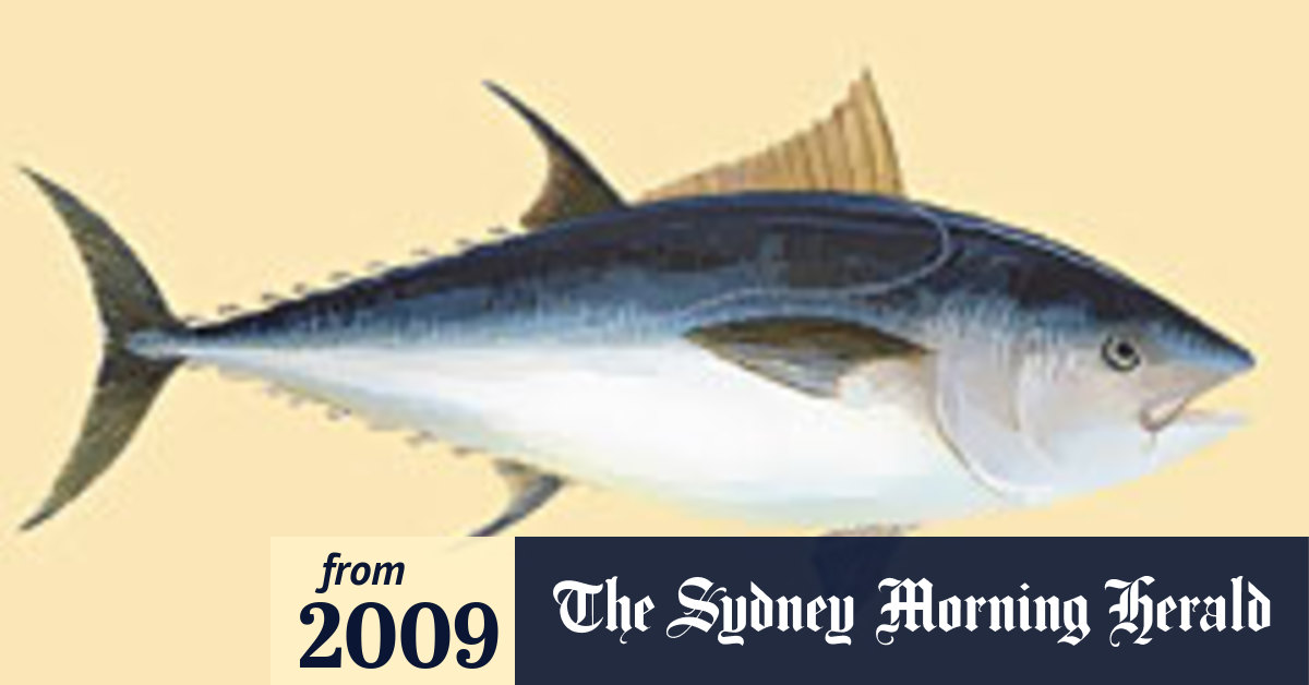 Tuna breeding shows 'billion-dollar' promise