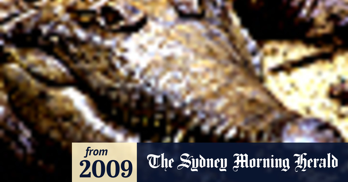 Scientists find lethal crocodile virus